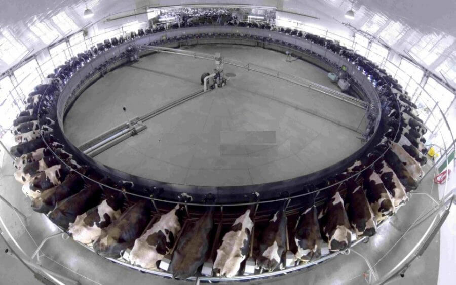 Süt Sağım Sistemleri - LAKTO - Hoş geldiniz